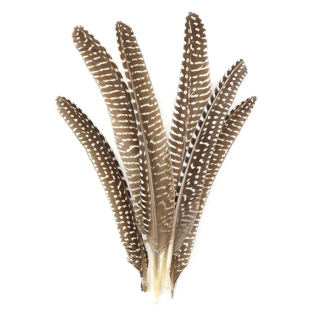Guinea Pointer Natural Selected 1 pc – MarabouBrothers